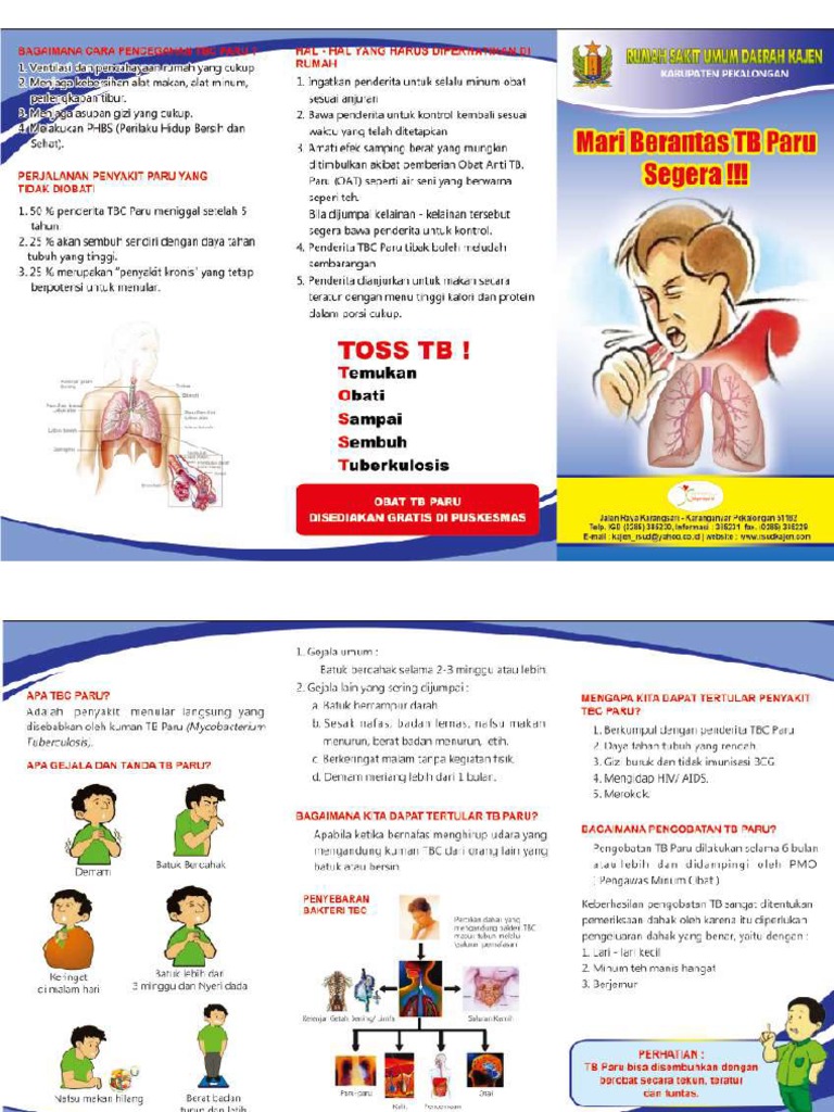 Leaflet TB Paru | PDF