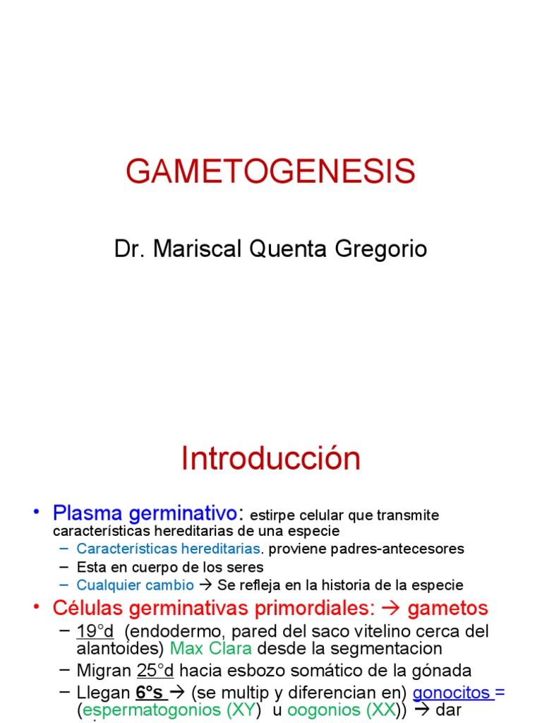 04 Gametogenesis | PDF