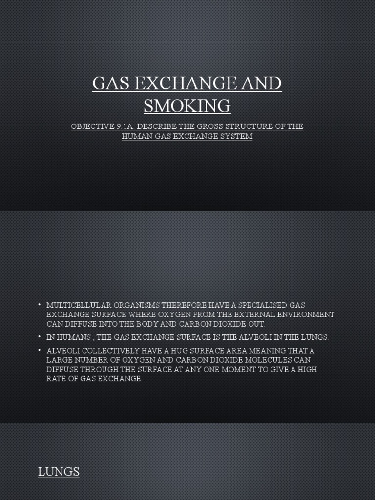 Gas Exchange and Smoking | PDF