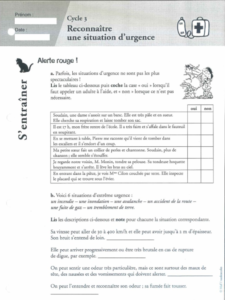 Fiche 7 Reconnaître Une Situation D'urgence | PDF