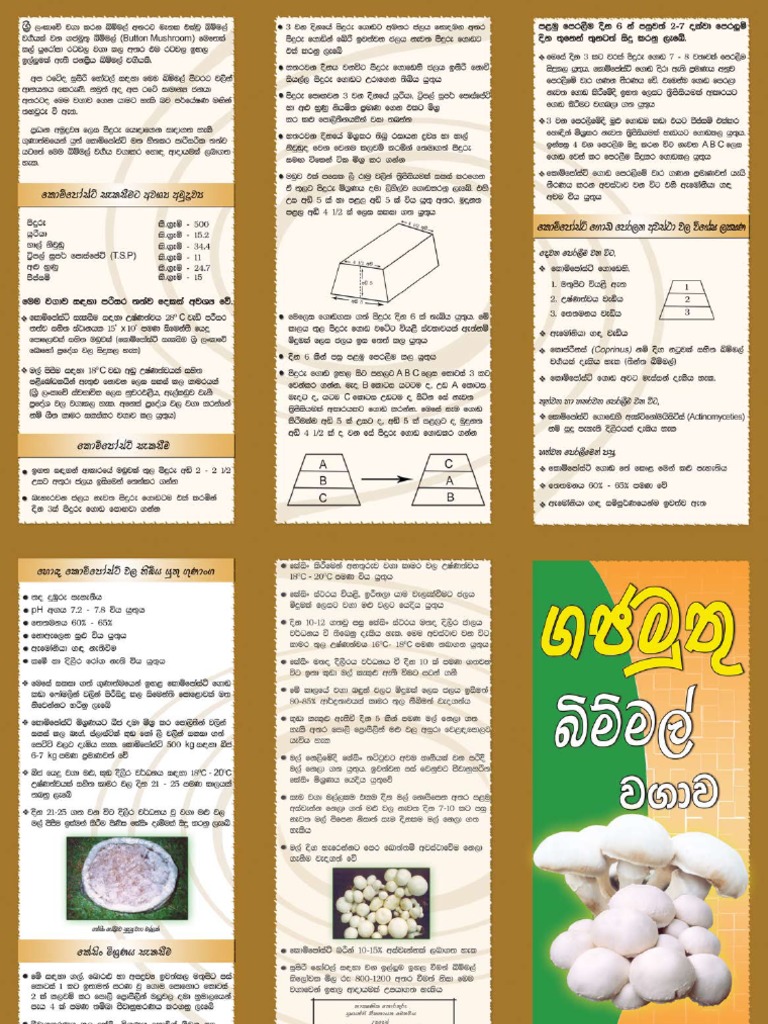 Gajamuthu 1 | PDF