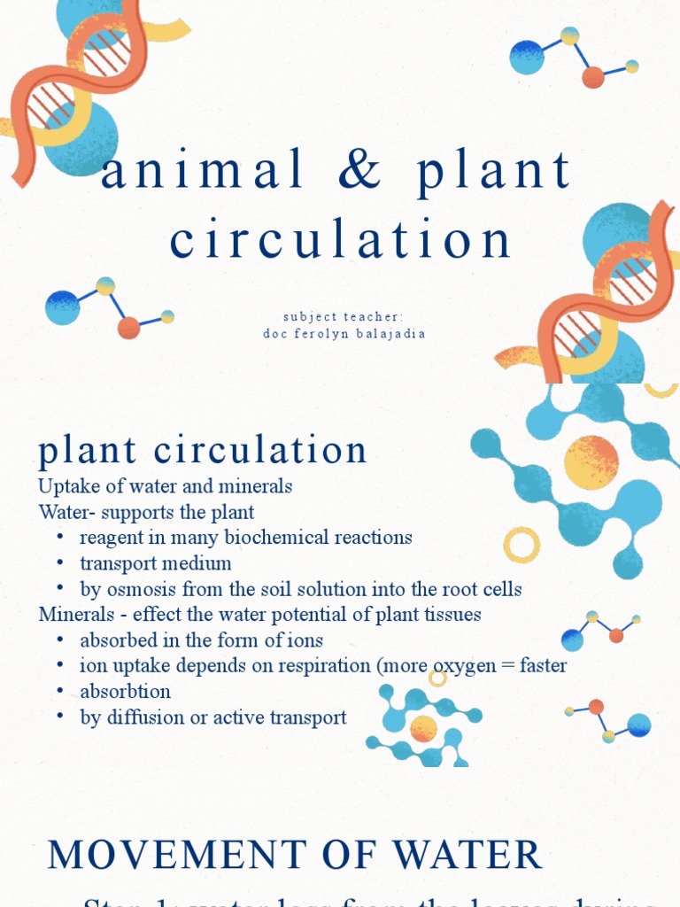 Animal and Plant Circulation | PDF | Heart Valve | Heart