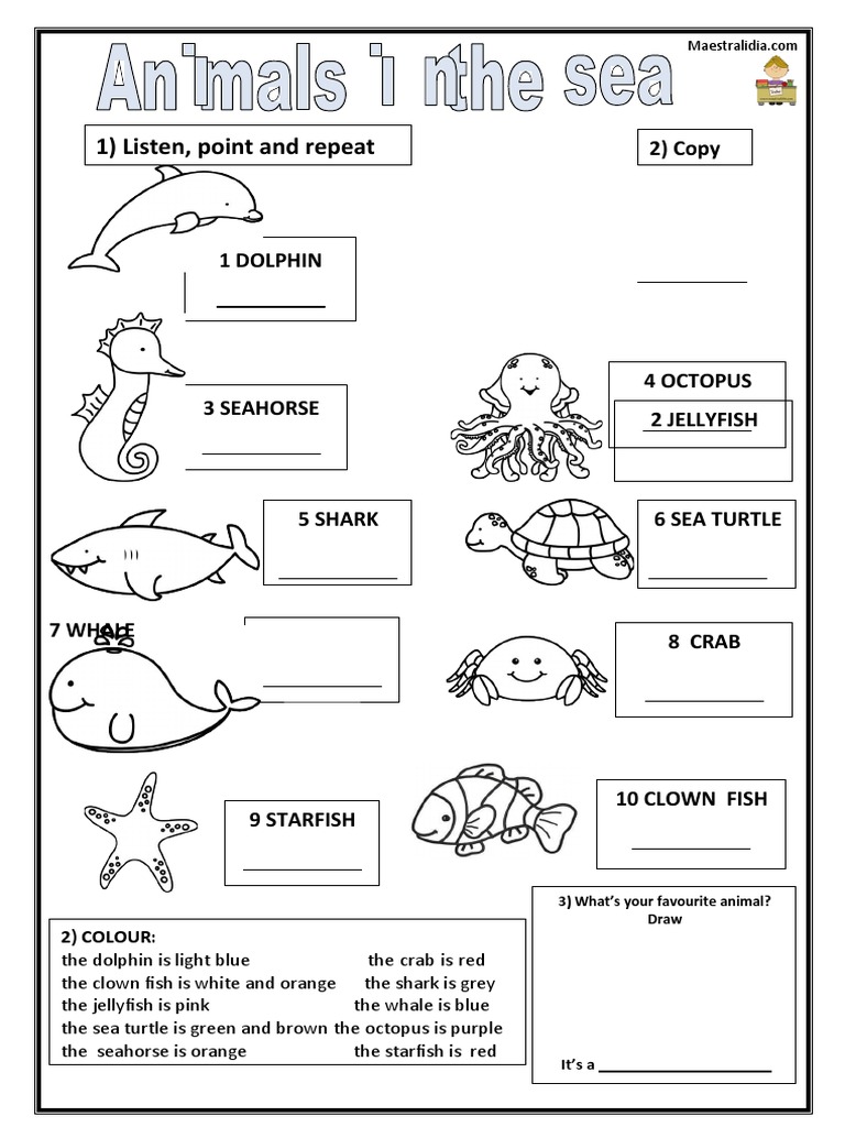 Sea Animals 2 | PDF