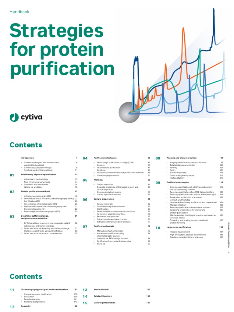 Strategies For Protein Purification | PDF | Chromatography | Protein ...