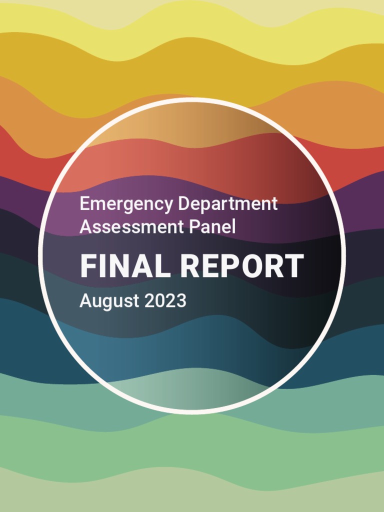 Niagara Health - Heather Winterstein Report | PDF