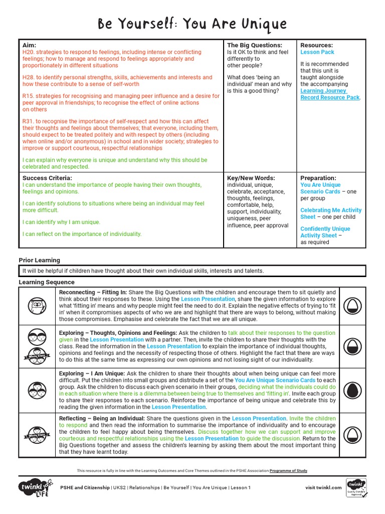 You Are Unique Lesson Plan | PDF | Career & Growth | Wellness