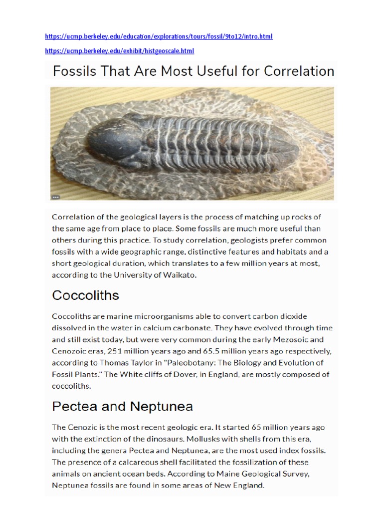 Frequently Asked Questions About Paleontology | PDF | Paleontology | Fossil