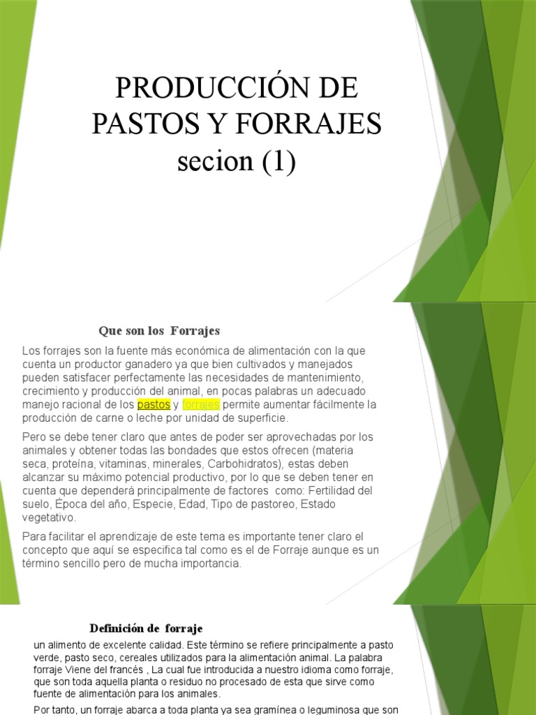 Producción de Pastos y Forrajes | PDF | Pasto | Nutrientes