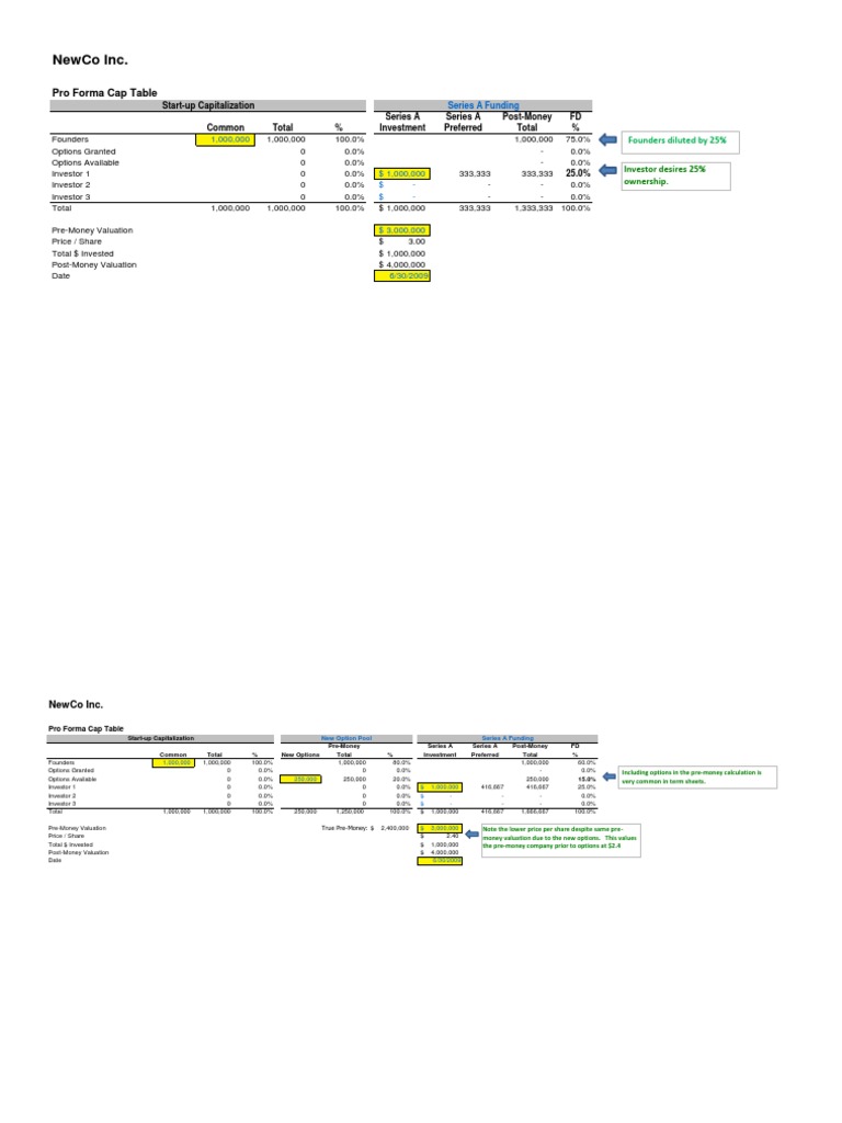 Pro Forma Cap Table for NewCo Inc. | PDF | Option (Finance) | Investing