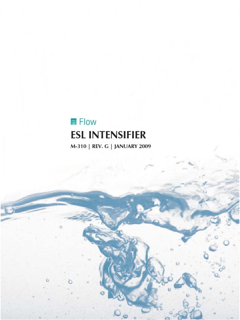 Esl Intensifier | PDF | Valve | Pump