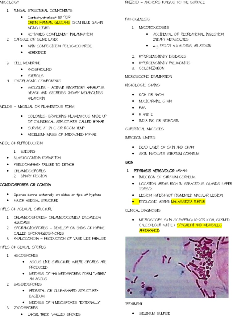 MYCOLOGY Notes | PDF | Animal Diseases | Mycology