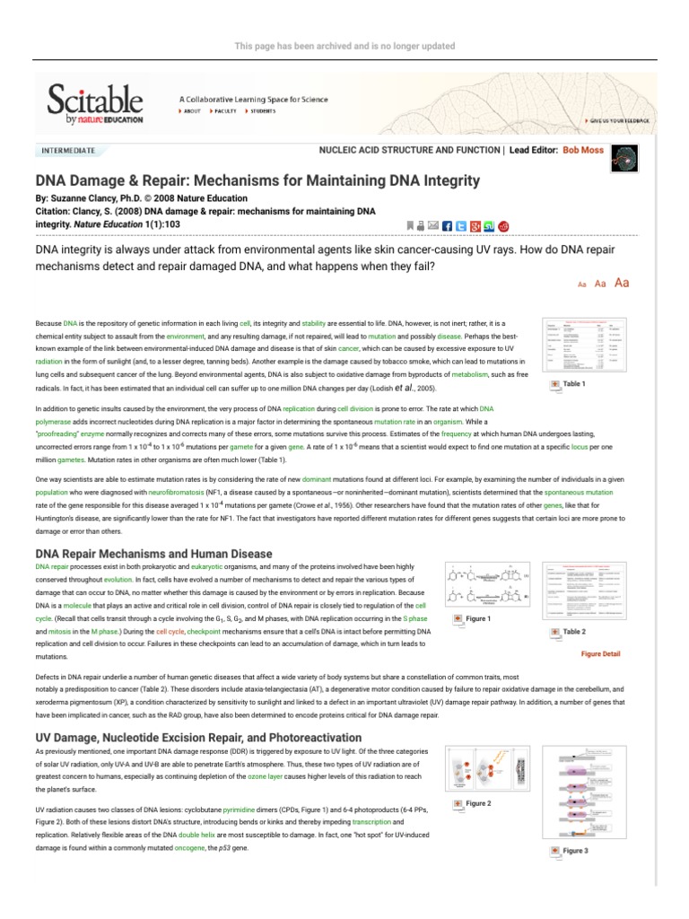 Mutation, DNA Repair, and DNA Integrity - Learn Science at Scitable | PDF | Dna Repair | Gene