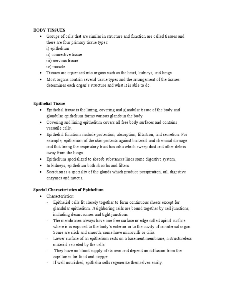 Body Tissues | PDF | Epithelium | Connective Tissue
