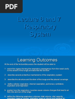 Respiratory System Worksheet | PDF | Lung | Breathing