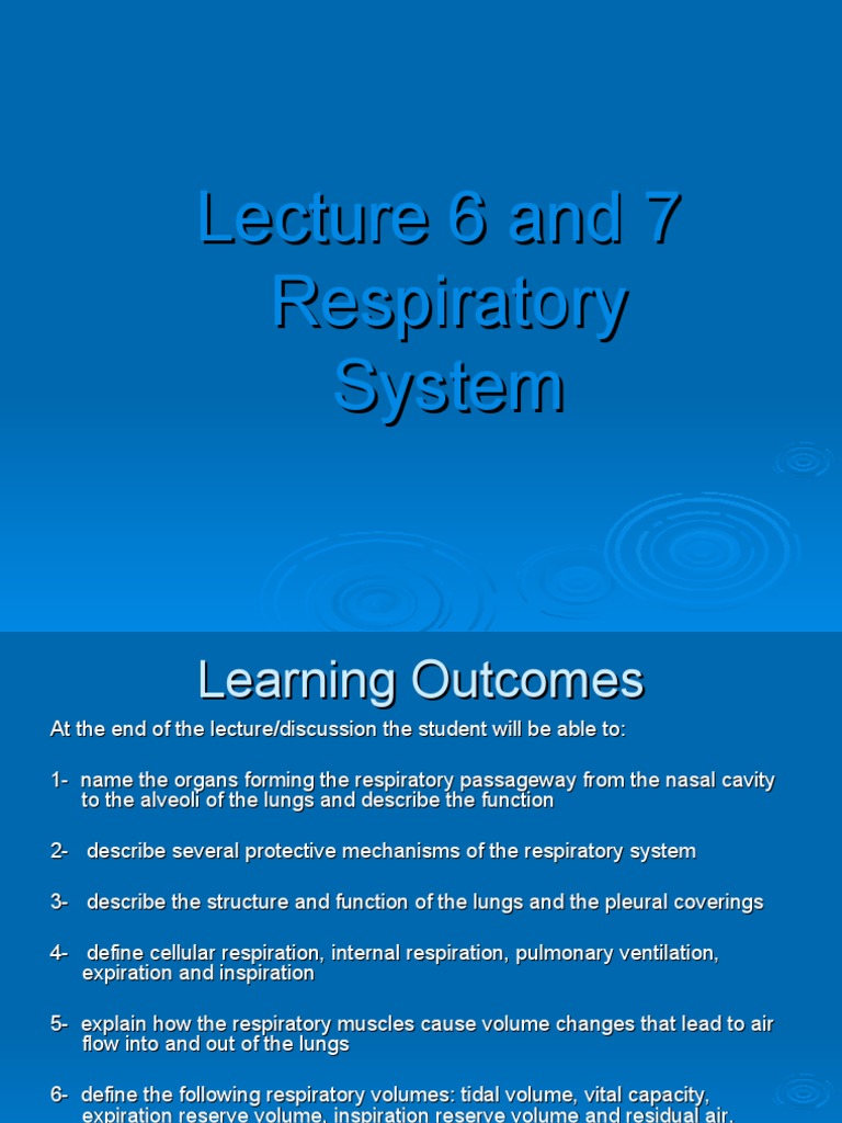 Respiratory System 8 | PDF | Respiratory Tract | Lung