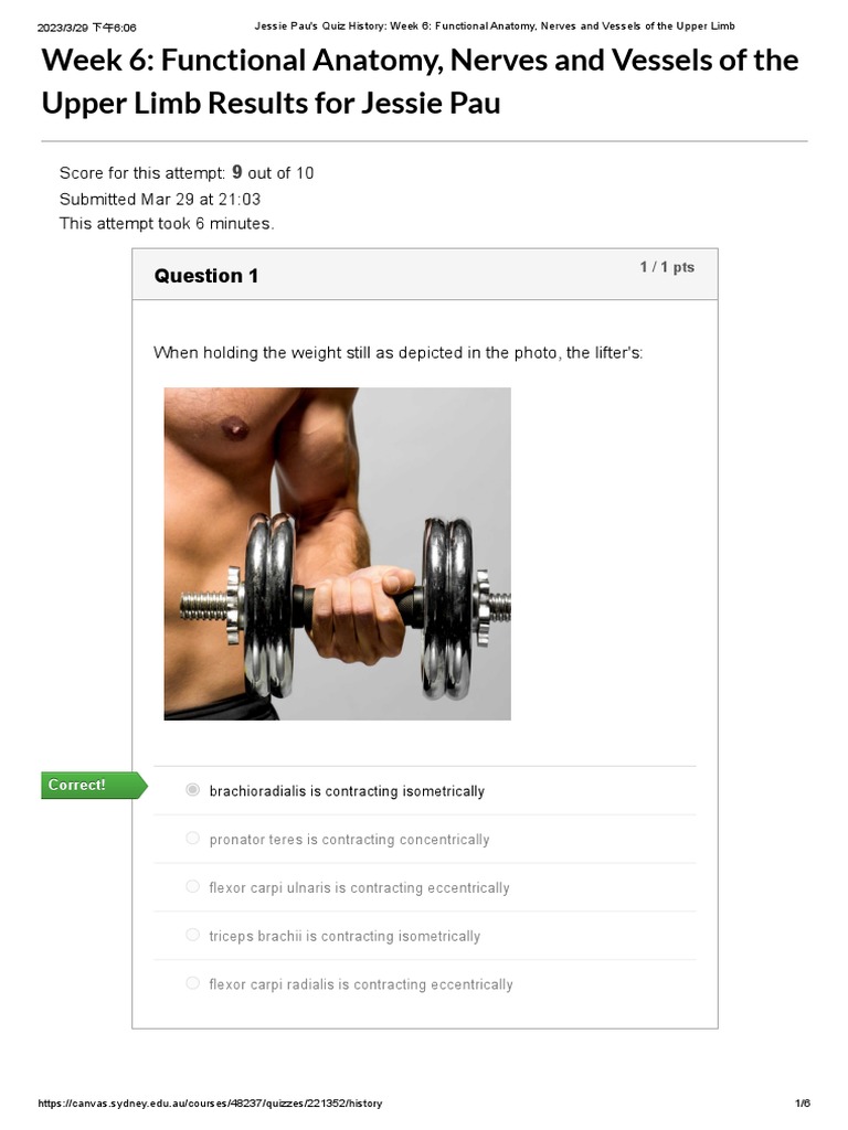 Jessie Pau's Quiz History - Week 6 - Functional Anatomy, Nerves and ...