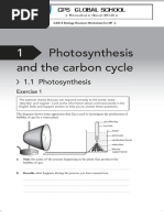 Grade VII Photosynthesis Worksheet | PDF | Leaf | Stoma
