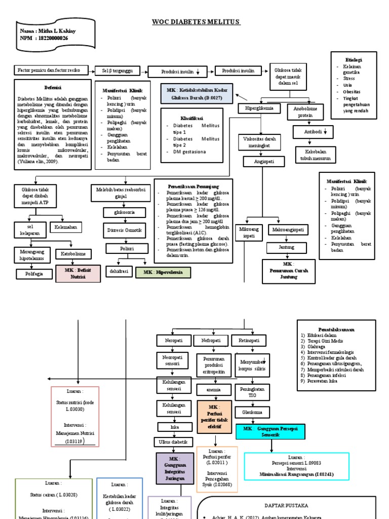 Woc Diabetes Melitus | PDF