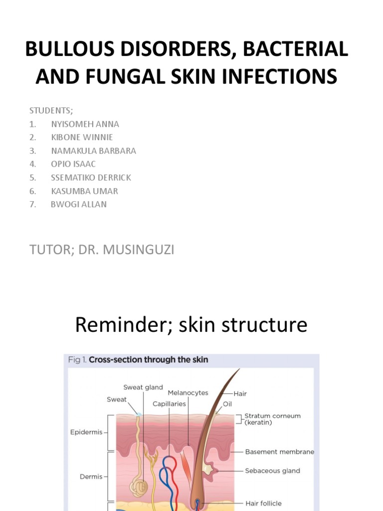 Bullous Disorders, Bacterial and Fungal Skin Infections | PDF ...