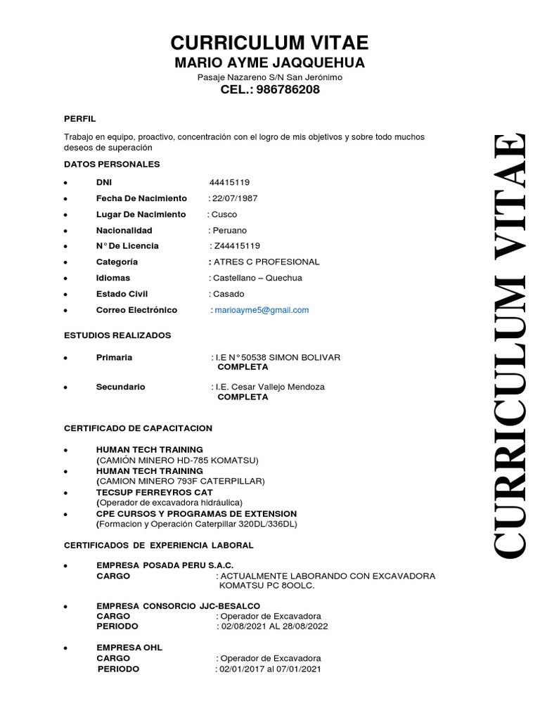 Curriculum Vitae Mario Ultimo | PDF