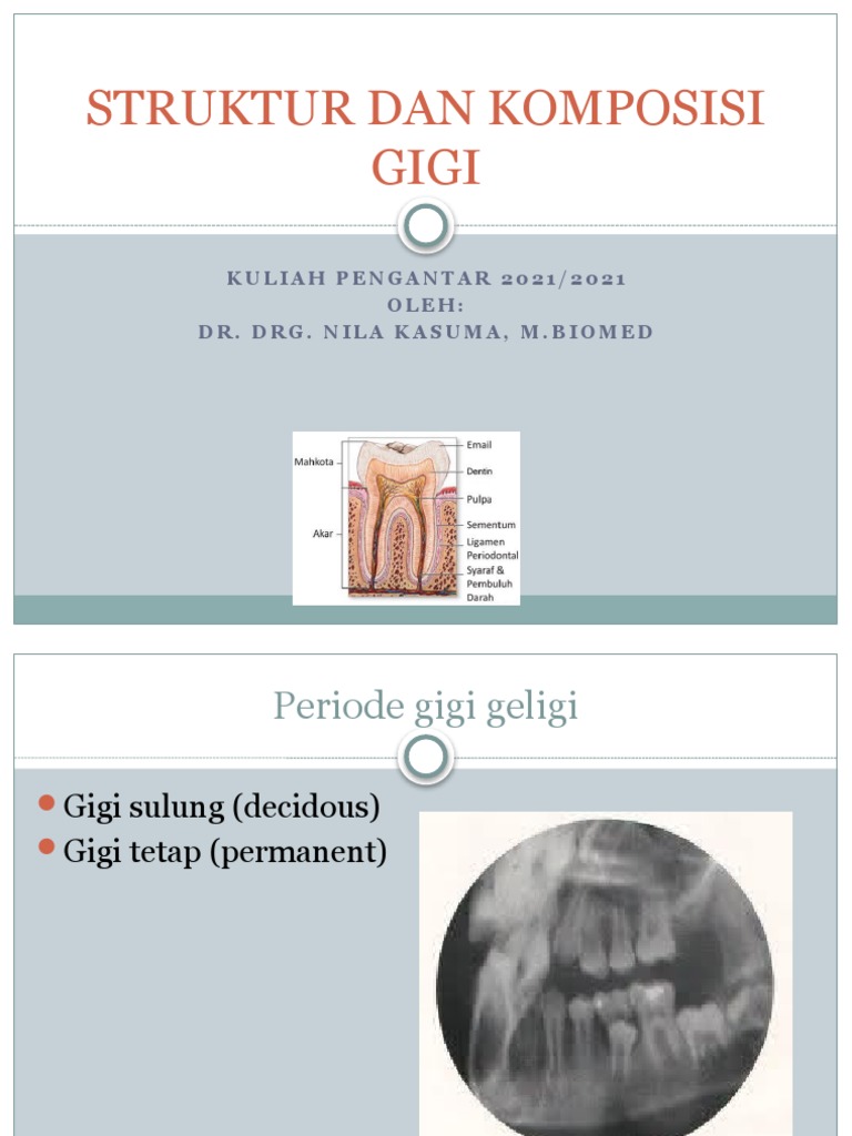 1.3 Struktur, Komposisi Dan Fungsi Gigi | PDF