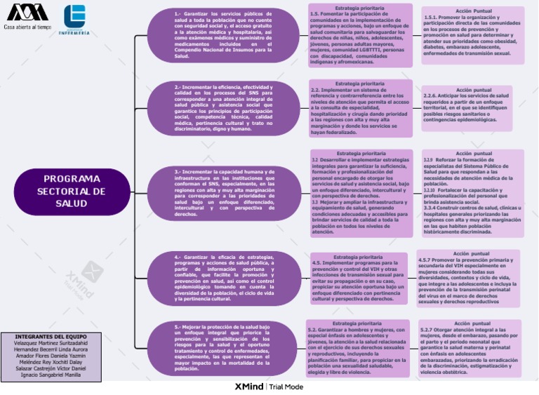 Programa Sectorial de Salud 3 | PDF | Trabajo Social | Cuidado de la salud