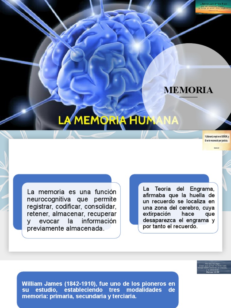 Clase de Procesos 4 Memoria | Descargar gratis PDF | Memoria | Las emociones
