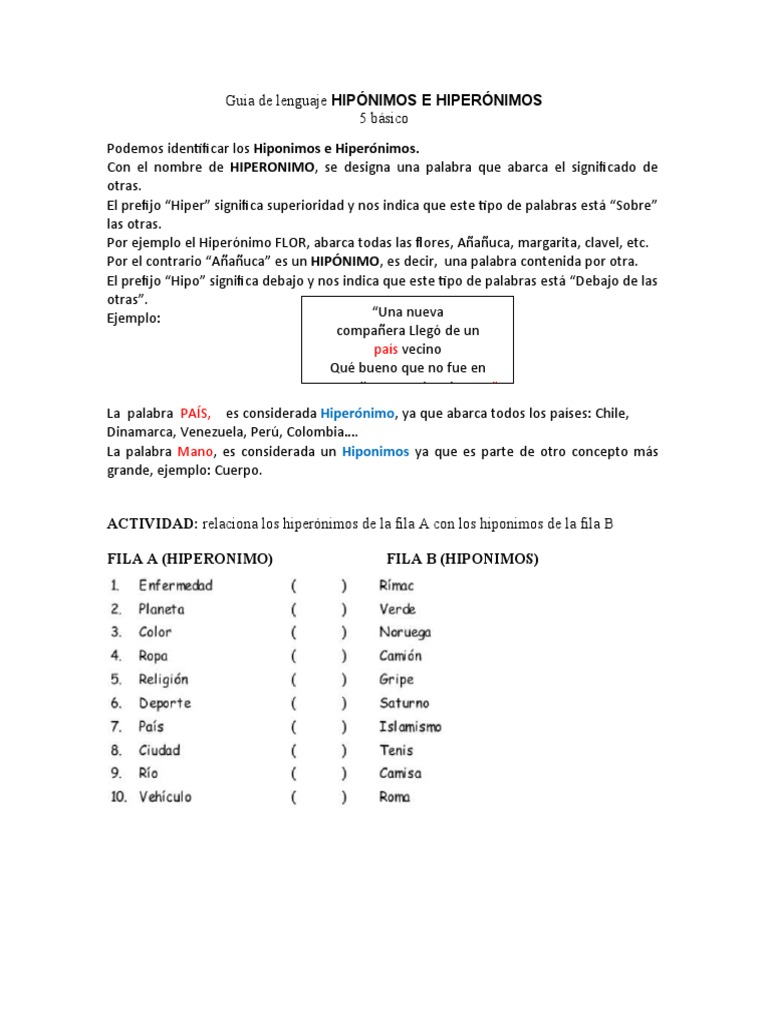 Guia de Lenguaje Hiponimos e Hiperonimos 5 | PDF
