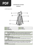 Supplementary Outcome Appendix Q | PDF | Dentistry Branches | Health ...