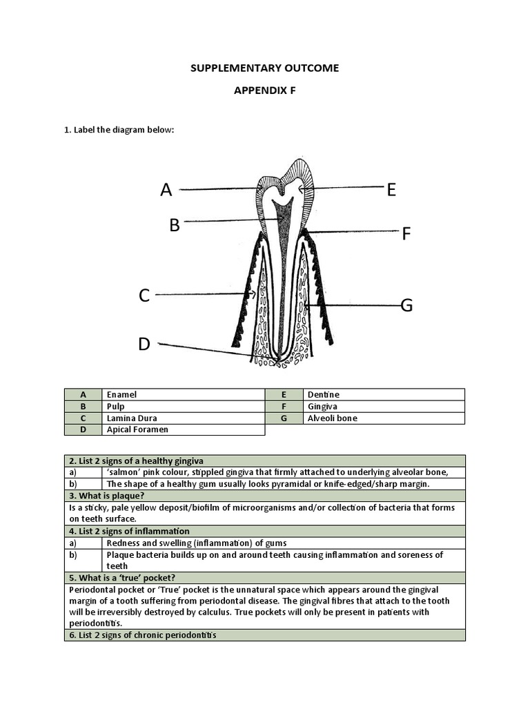 Supplementary Outcome Appendix F | PDF