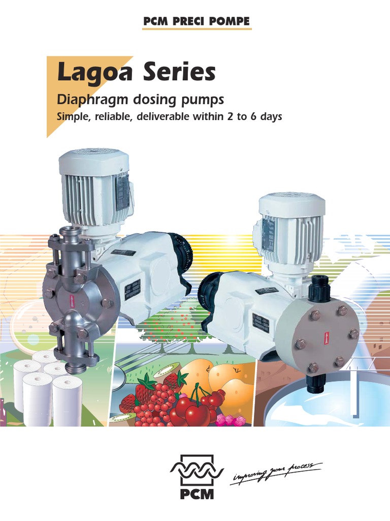 Pcm-Lagoa Series Brochure - English2 | PDF | Pump | Valve