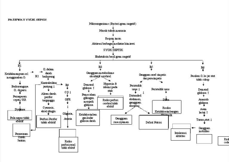 Pathway Syok Sepsis - RSUI - Minggu k4 - Senja Paramita | PDF