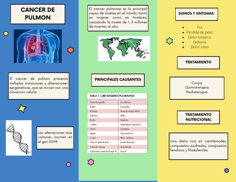 Triptico Cancer de Pulmon | PDF