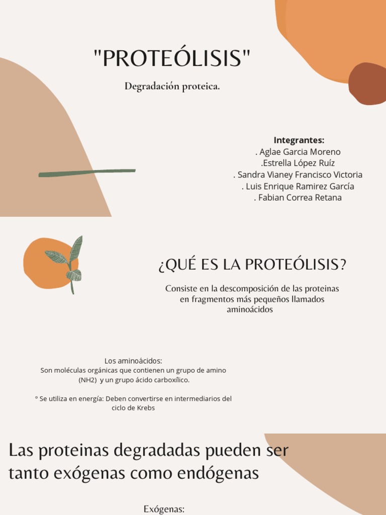Proteolisis Equipo 1 | PDF | Proteólisis | Proteínas