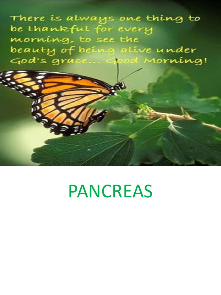 Anatomy of Pancreas | PDF | Pancreas | Abdomen