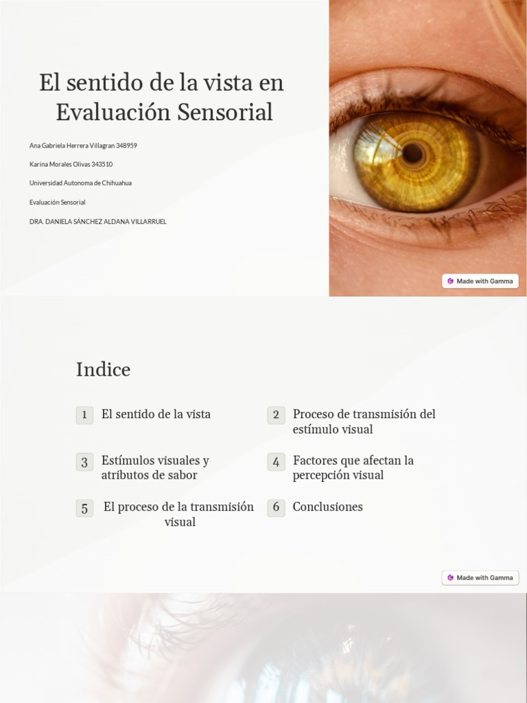 El Sentido de La Vista en Evaluacion Sensorial | PDF | Percepción visual | Ojo humano