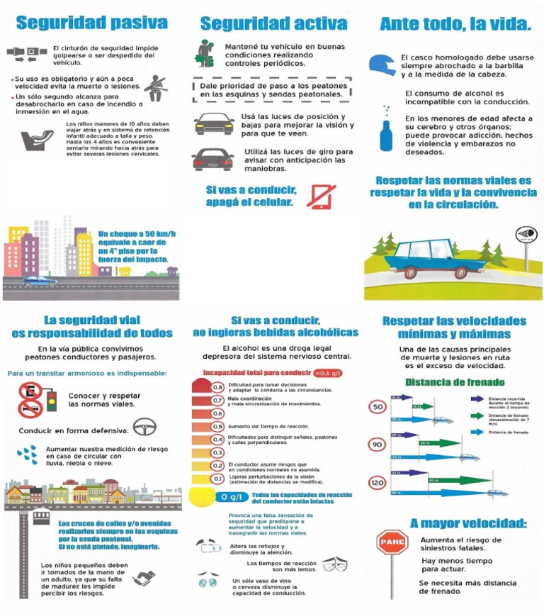 Triptico Campaña Conducción Segura | PDF