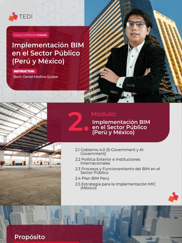 M2 - Implementación BIM en El Sector Público | PDF | Economias