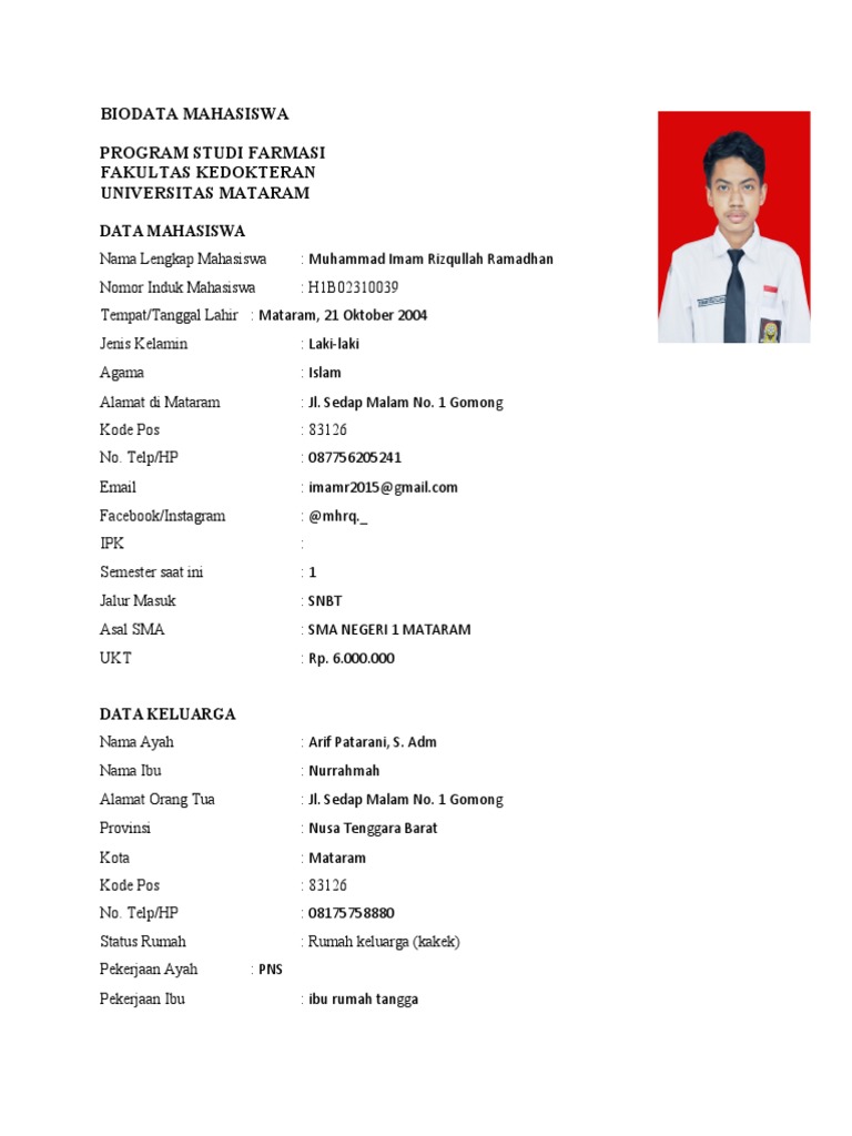 Form Biodata Mahasiswa | PDF