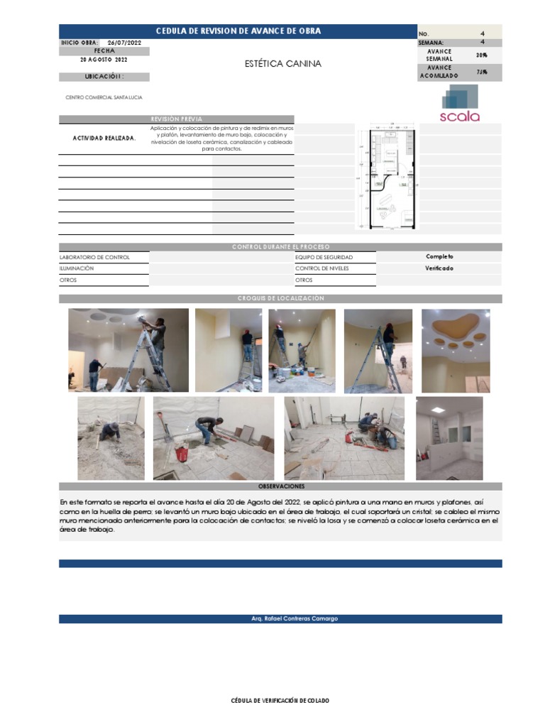 Avance de Obra Estética Canina 30% | PDF