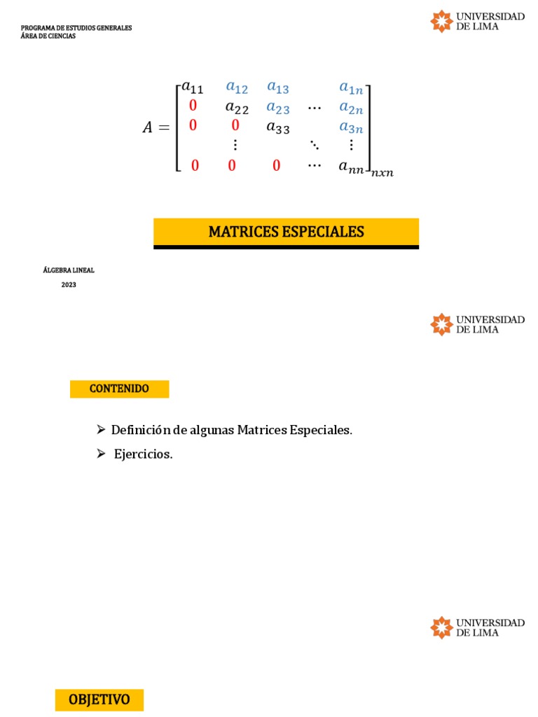 Tipos de Matrices Especiales | PDF | Matriz (Matemáticas) | Funciones y ...