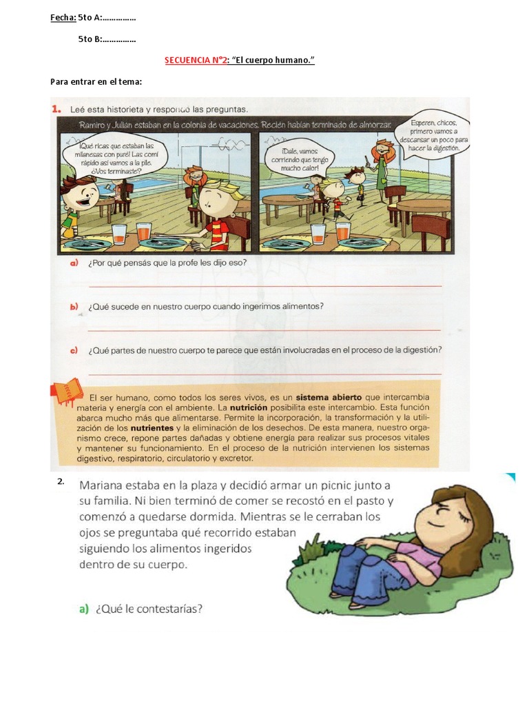 Actividades Secuencia N°2 El Cuerpo Humano 5to.-2 | PDF | Sistema ...