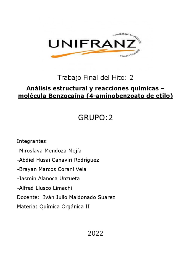Trabajo Final de Hito 2+ | PDF