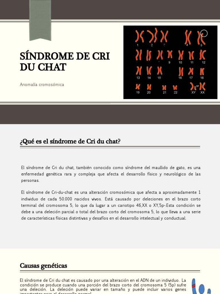 Síndrome de Cri Du Chat | PDF | Discapacidad intelectual | Epidemiología