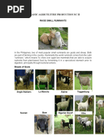 Ragdoll Method | PDF | Seed | Germination