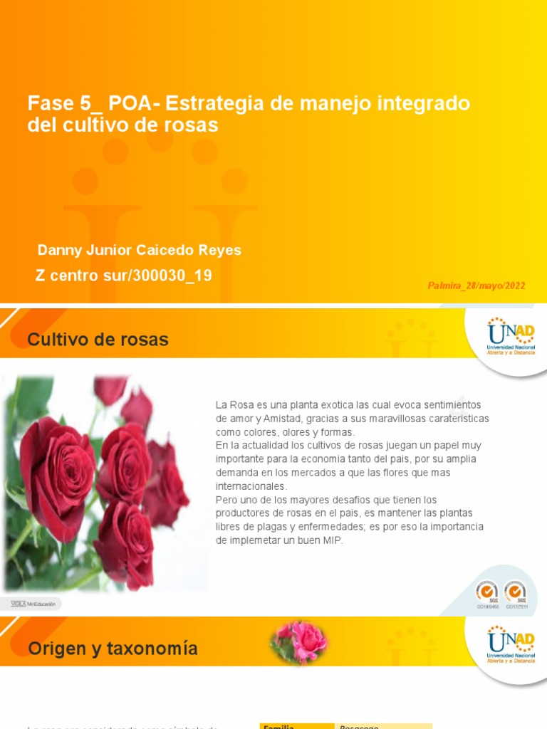 FASE 5 - POA - Propuesta de Estrategia de Manejo Fisiologico - Danny Caicedo | PDF | Rosa ...