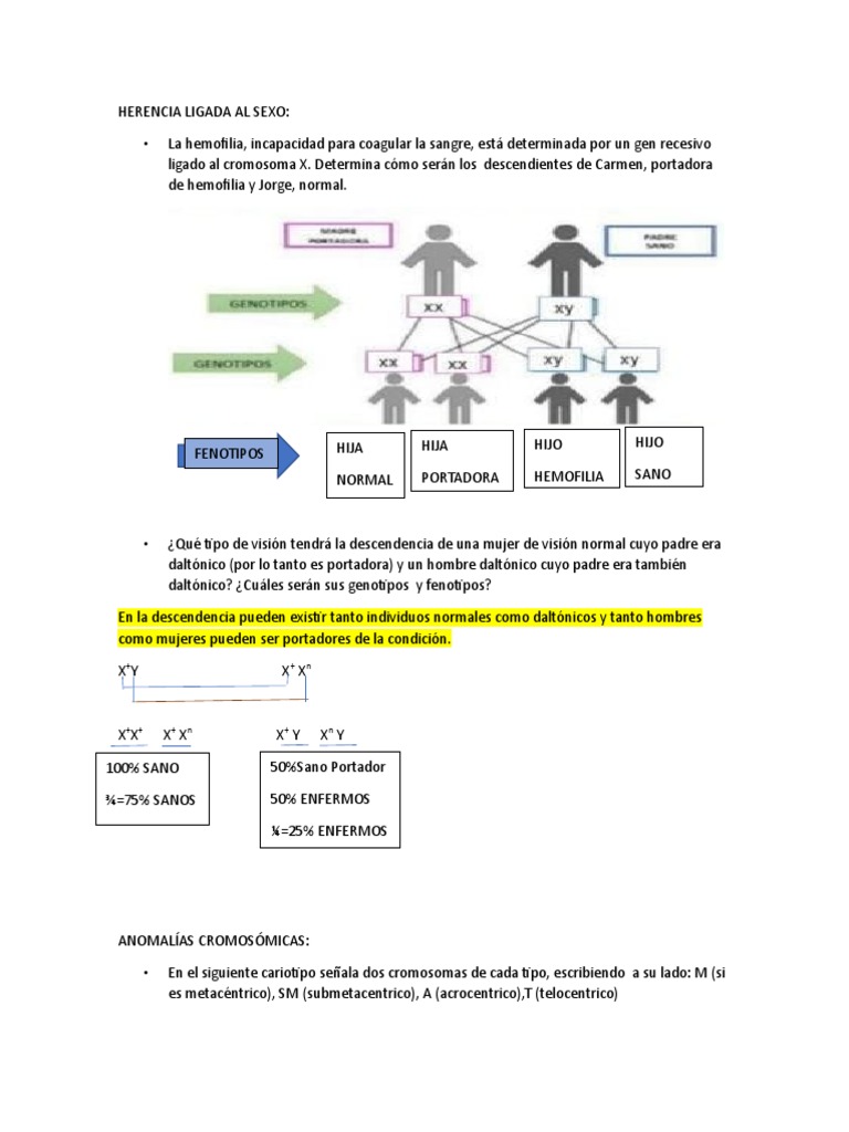 GENE2 | PDF | Hemofilia | Cariotipo