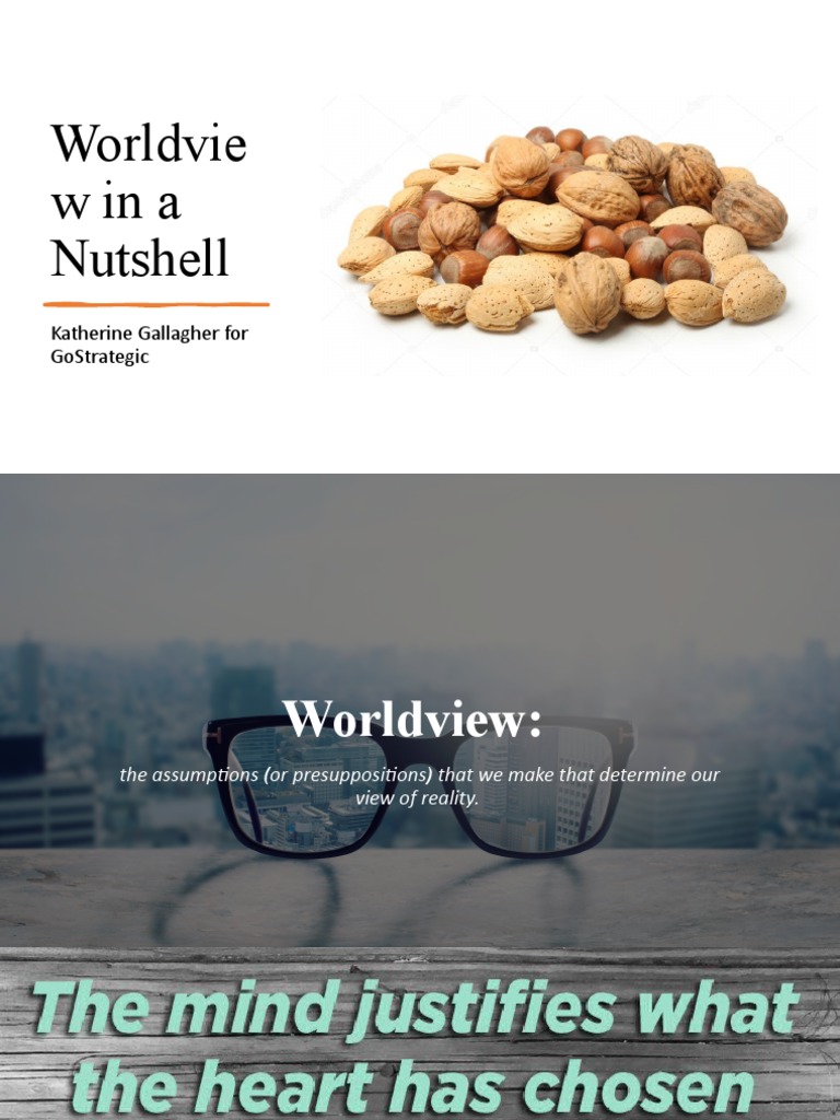 Worldview in a Nutshell (1) | PDF