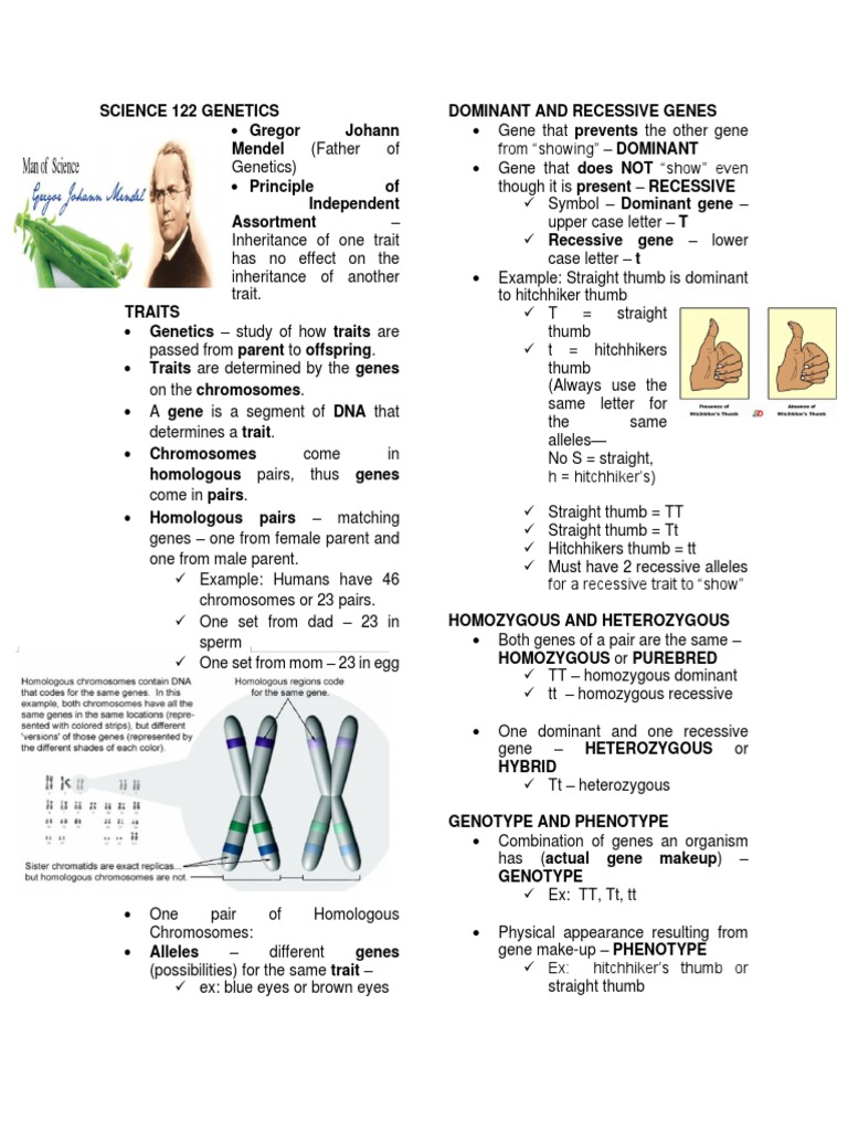 GENETICS - REVIEWER | PDF