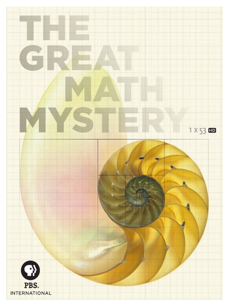 The Great Math Mystery | Download Free PDF | Mathematics | Universe